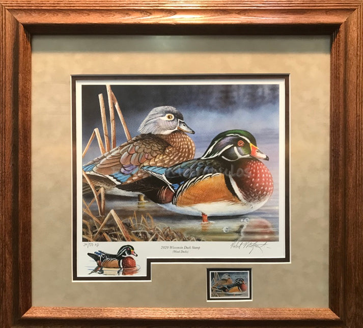 "2020 Wisconsin Duck Stamp Print" – Robert Metropulos